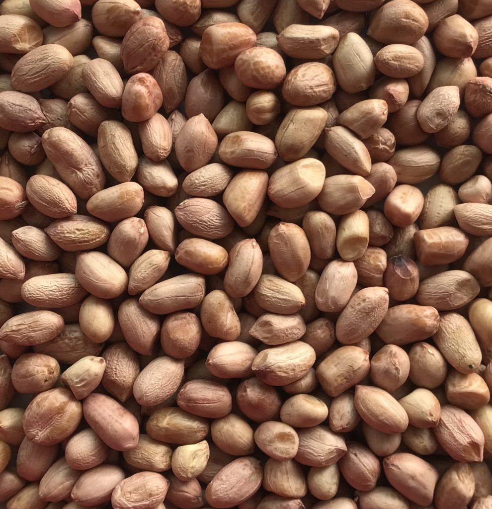 Swan International - Food Stuff Manufacturer and Exporter